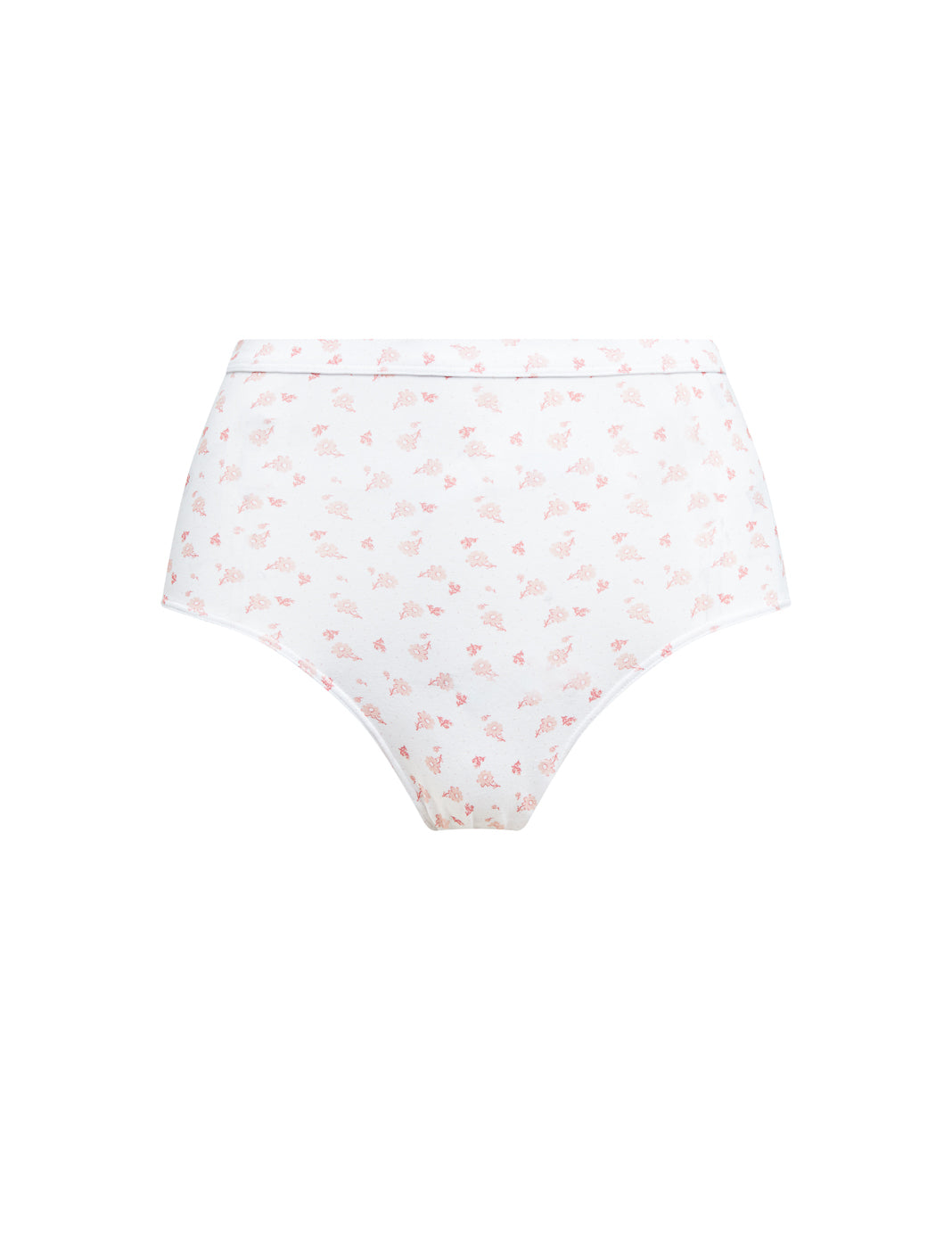 Shop Women’s Briefs - Best Comfort, Cotton, High Brief Underwear for ...